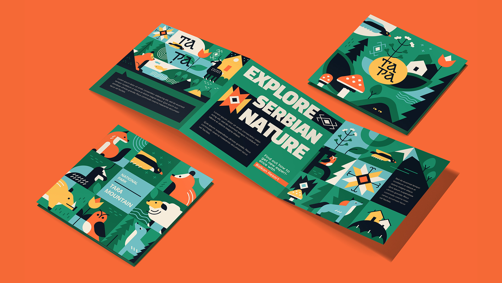 Tara National Park Project by Boyko on Dribbble