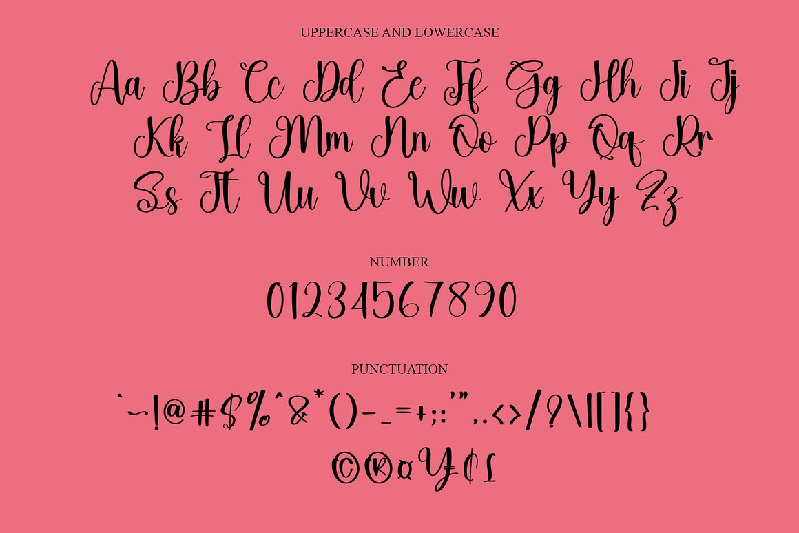 The Chairman Modern Signature Font by Fashion Fonts on Dribbble