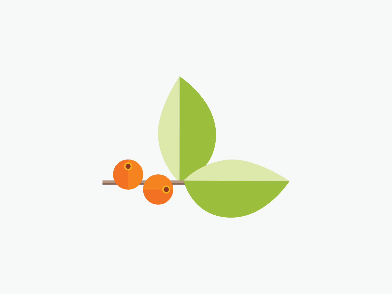 plant.vectors by To The Moon Studios on Dribbble