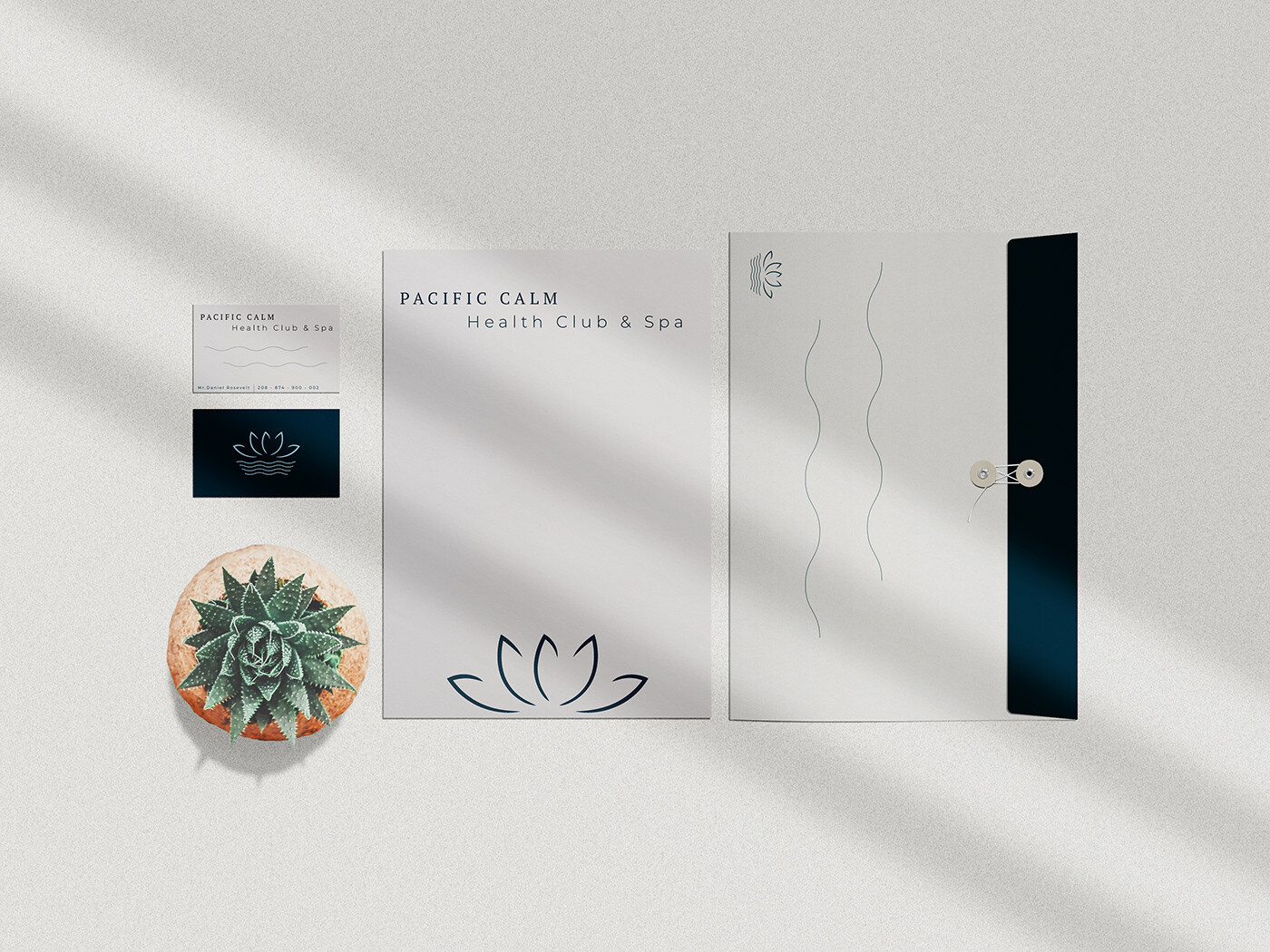Pacific Calm | Brand Identity by Vidicraze on Dribbble