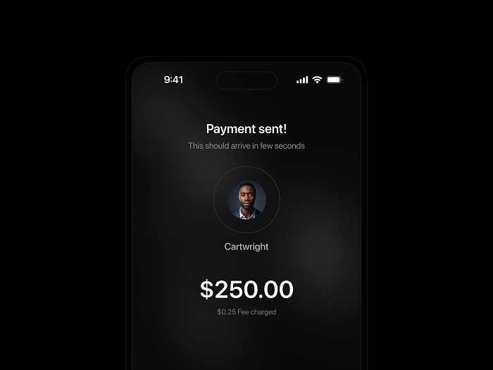 Browse thousands of Payment UI images for design inspiration | Dribbble