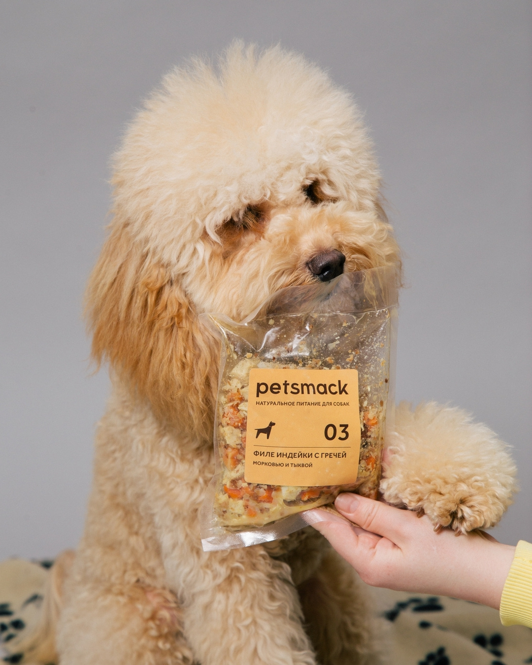 Petsmack Naming, Brand, Packaging Development by Sonya Mudvex on Dribbble