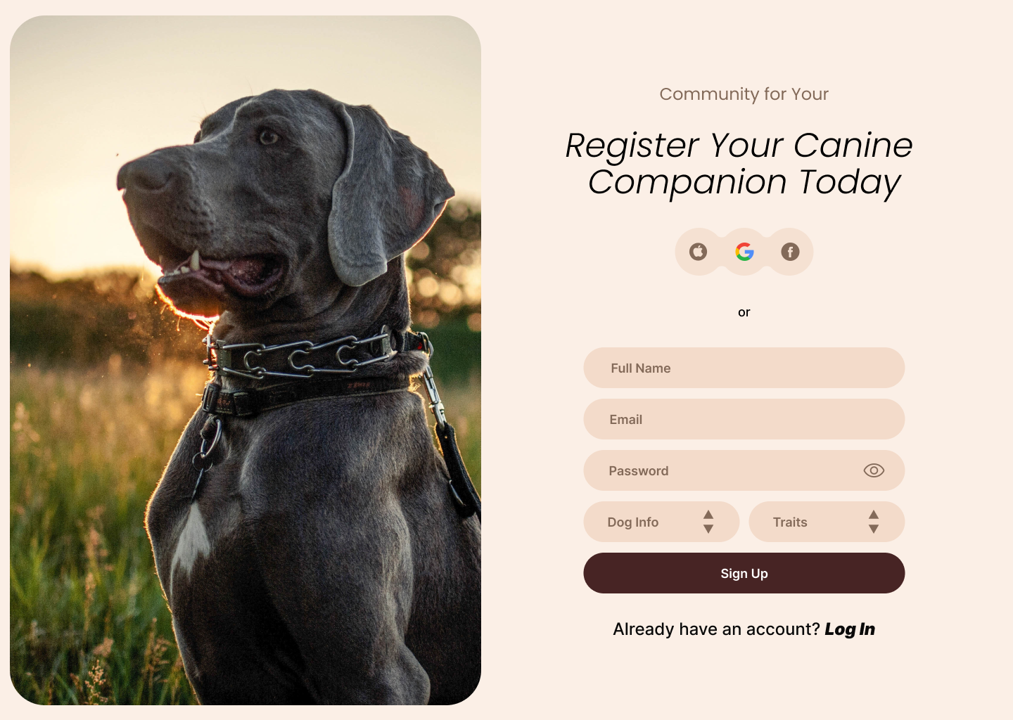 Dog Care Website (Sign Up Page) by PetersTouch Creative on Dribbble