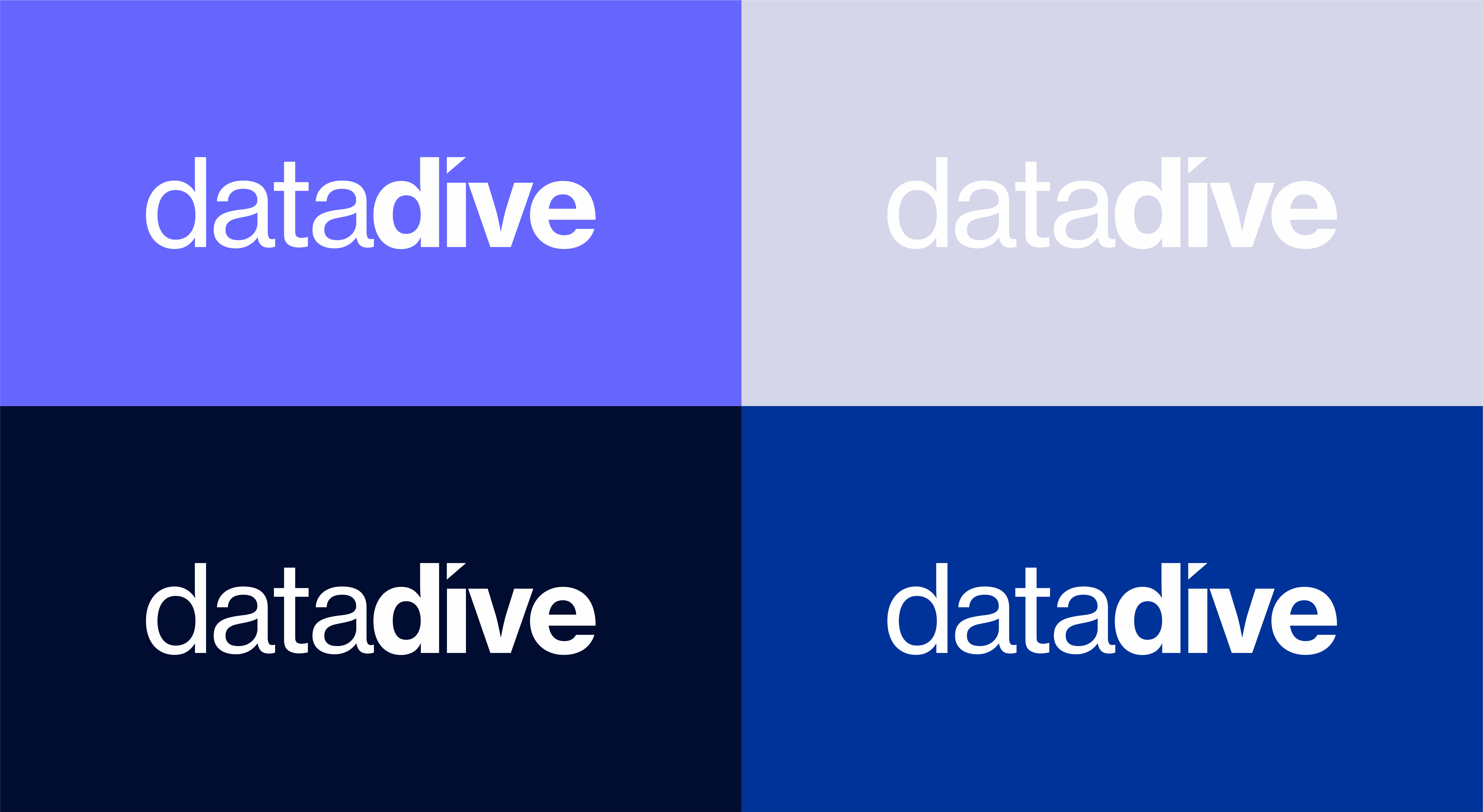 datadive Visual Design by Shola Adepoju on Dribbble