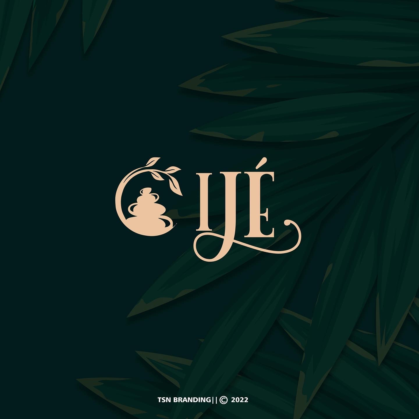 Ije Logo by TSN Graphics on Dribbble