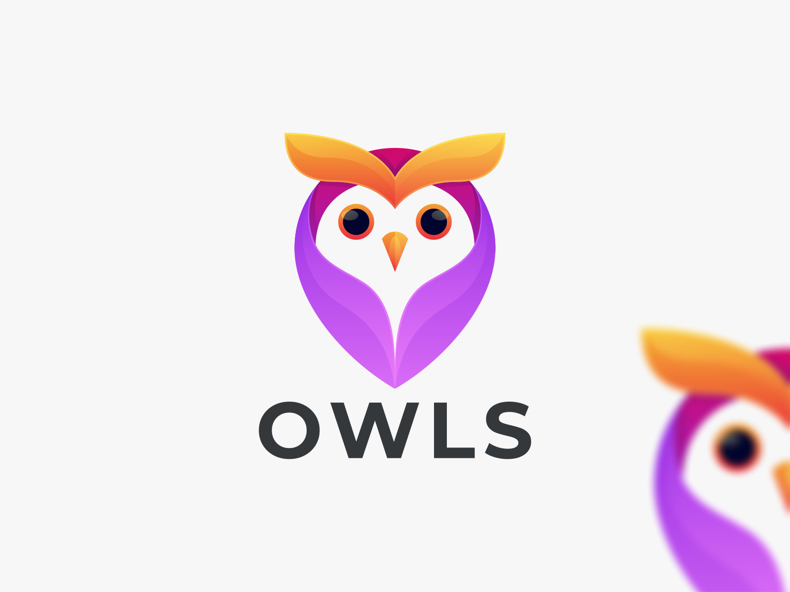 OWLS by MT Projectss on Dribbble