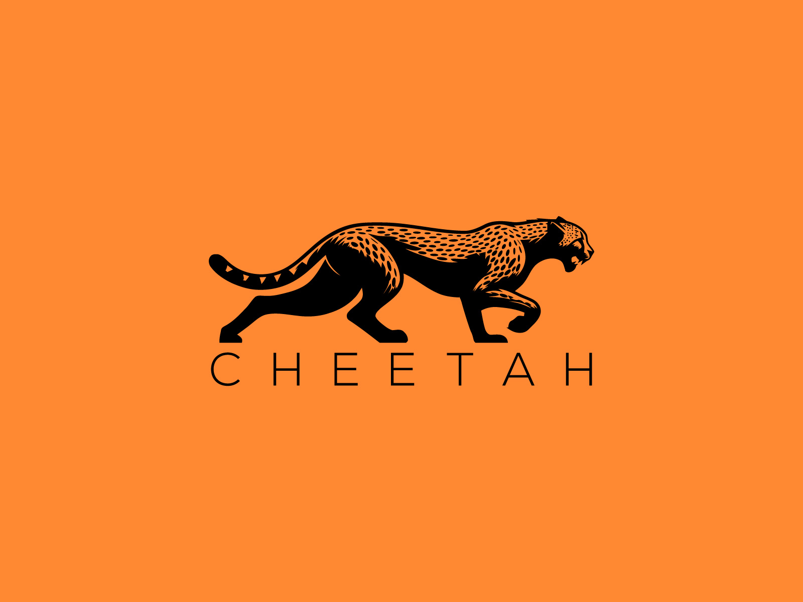 Cheetah Logo by Ben Naveed 🇺🇸 on Dribbble