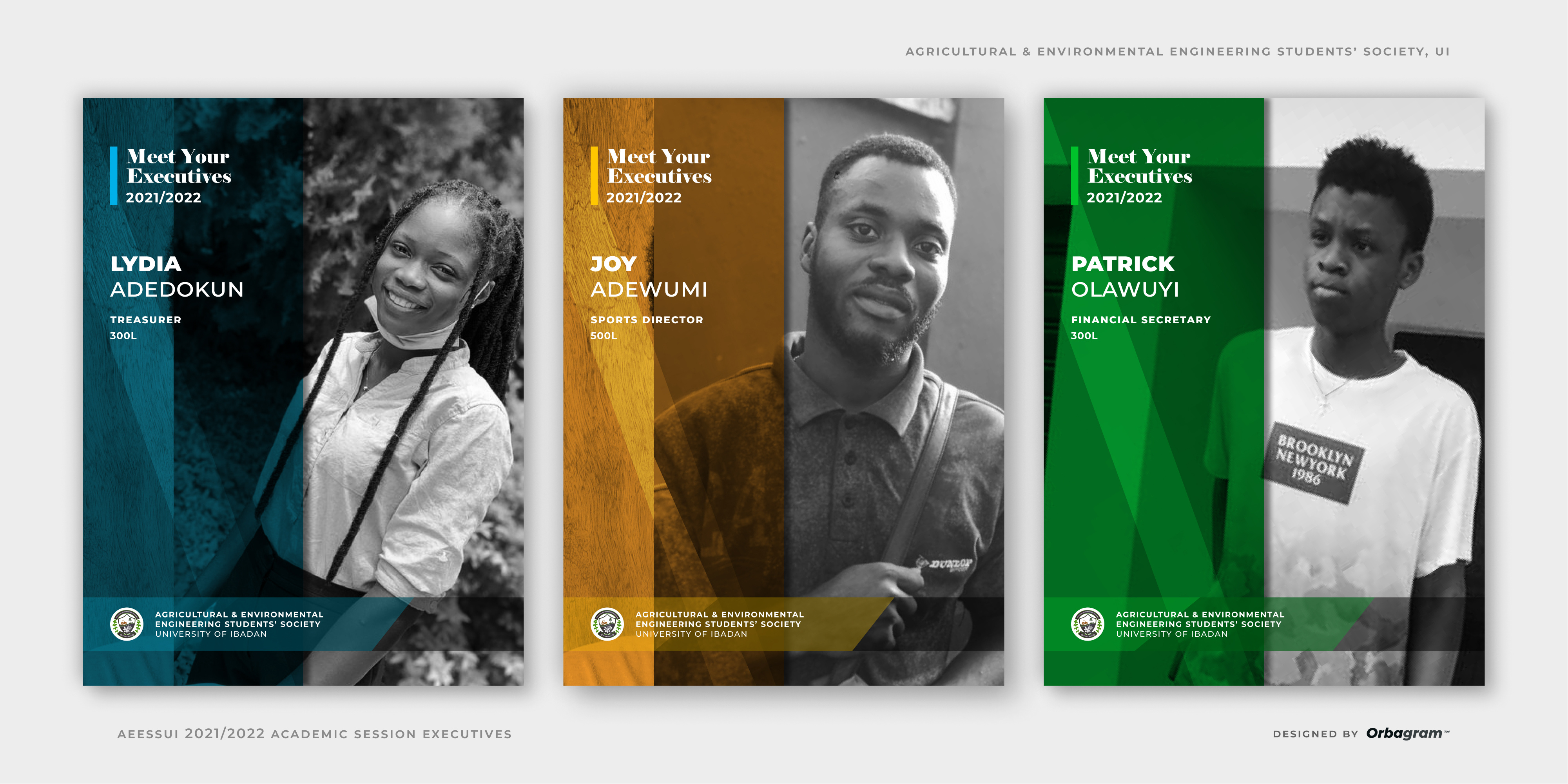 Profile Card Design for AEESS by Obaloluwa Animashaun on Dribbble