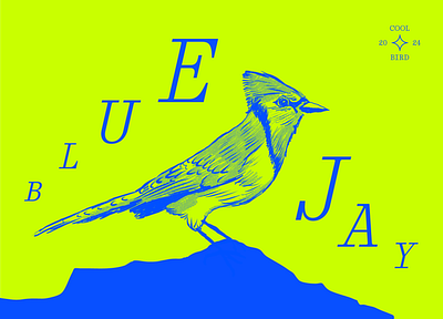 Birdy by Noah Mooney on Dribbble