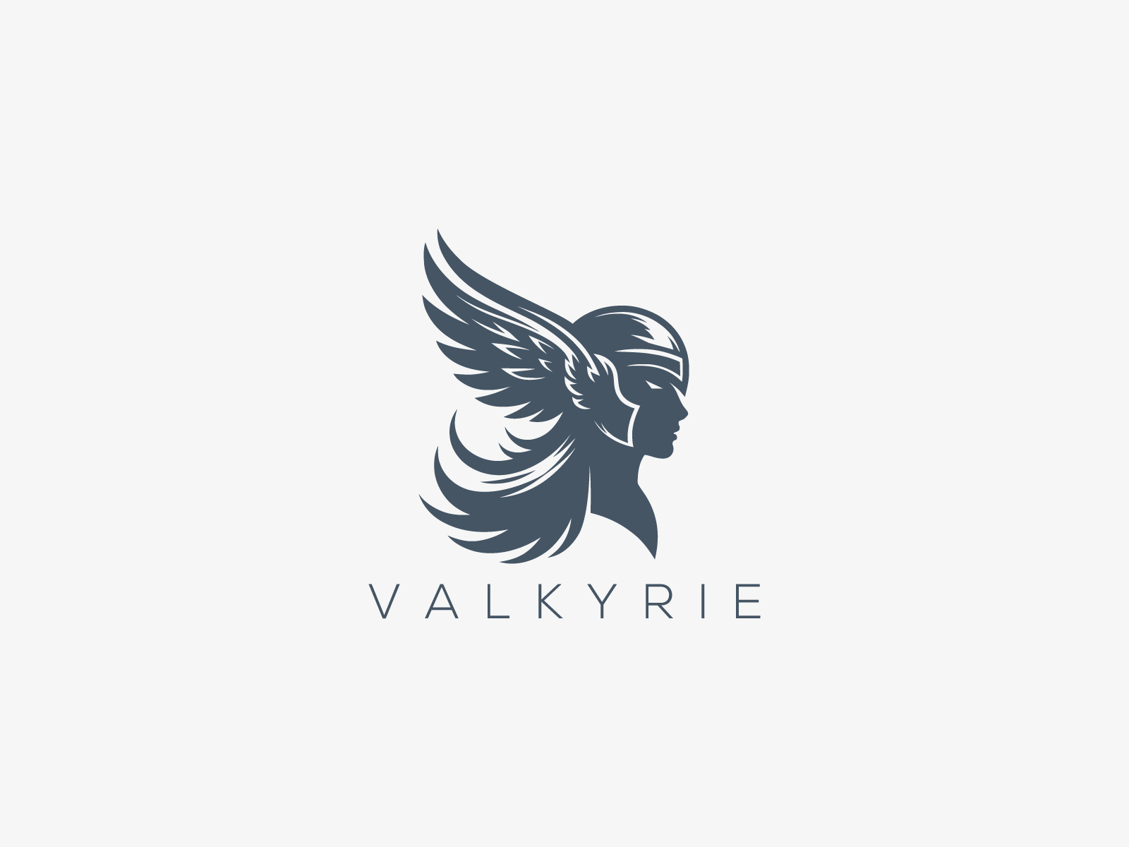 Top Valkyrie Logo designs, themes, templates and downloadable graphic ...