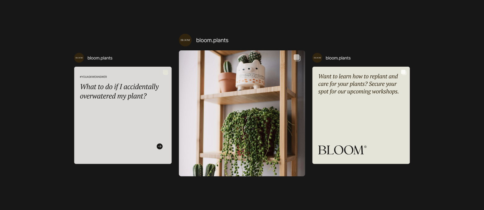 Bloom | Visual identity by Paulina Burak | Studio Kontekst on Dribbble