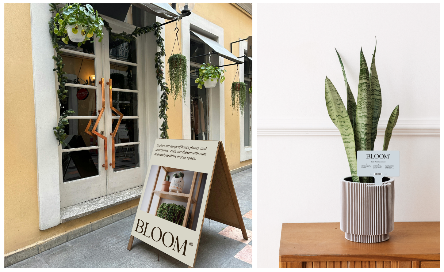 Bloom | Visual identity by Paulina Burak | Studio Kontekst on Dribbble