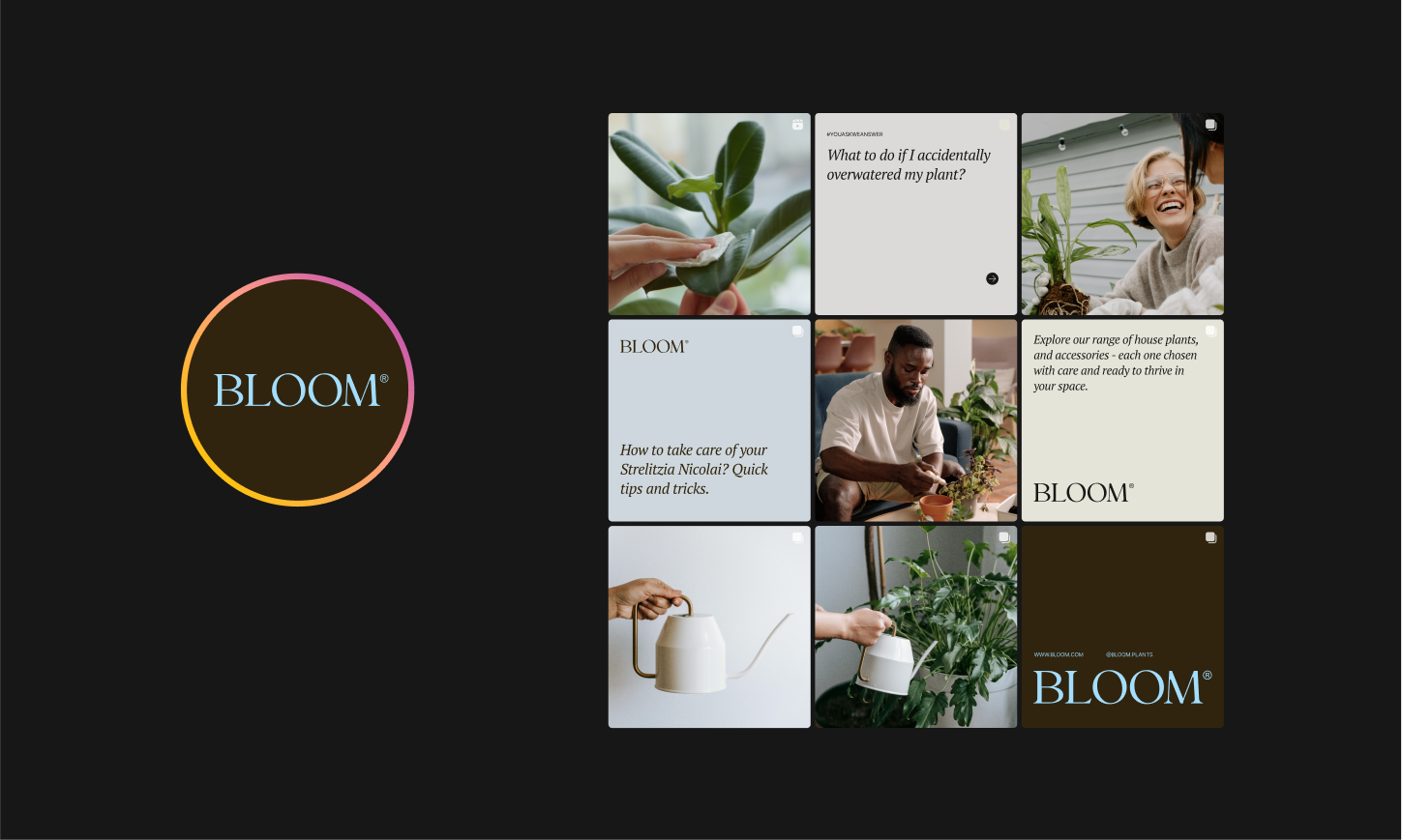 Bloom | Visual identity by Paulina Burak | Studio Kontekst on Dribbble