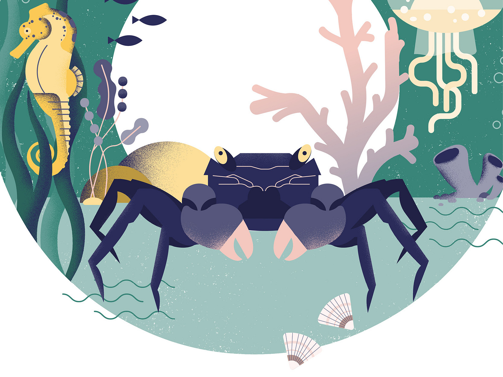 Under the Sea by Stacey Knipe on Dribbble