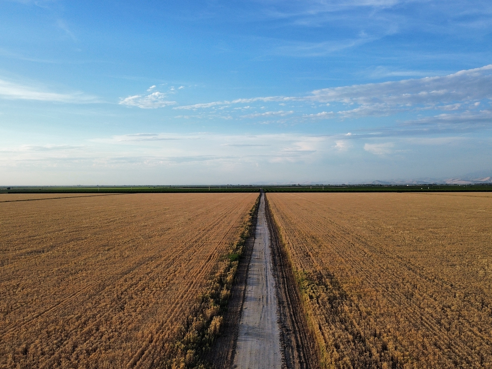 Farm Road by Maison Shearer on Dribbble