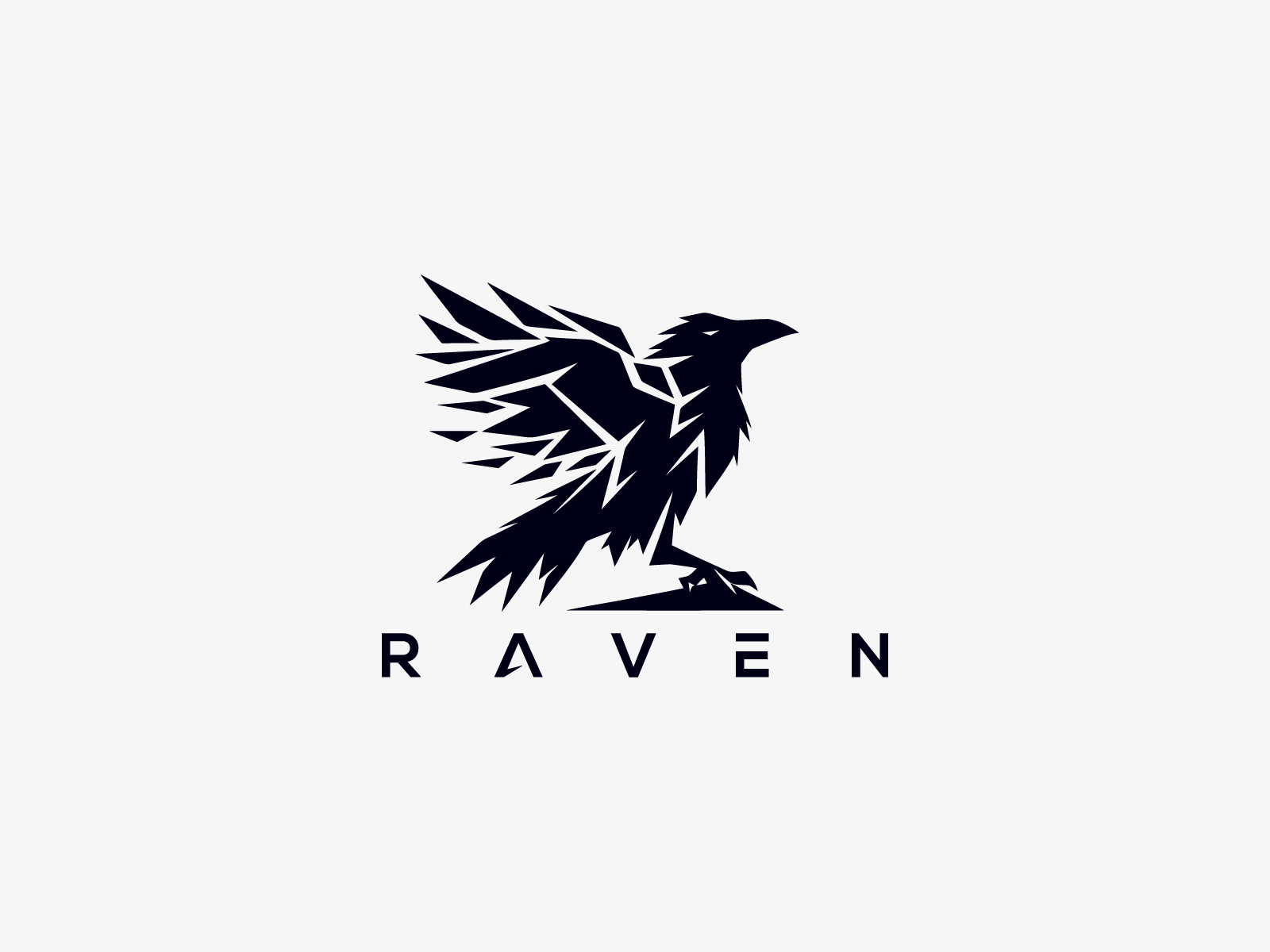 Raven Logo by Ben Naveed 🇺🇸 on Dribbble