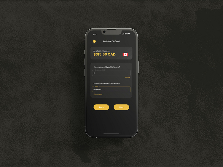 Cash Sending App - UI Design by Hasnain Ansari on Dribbble