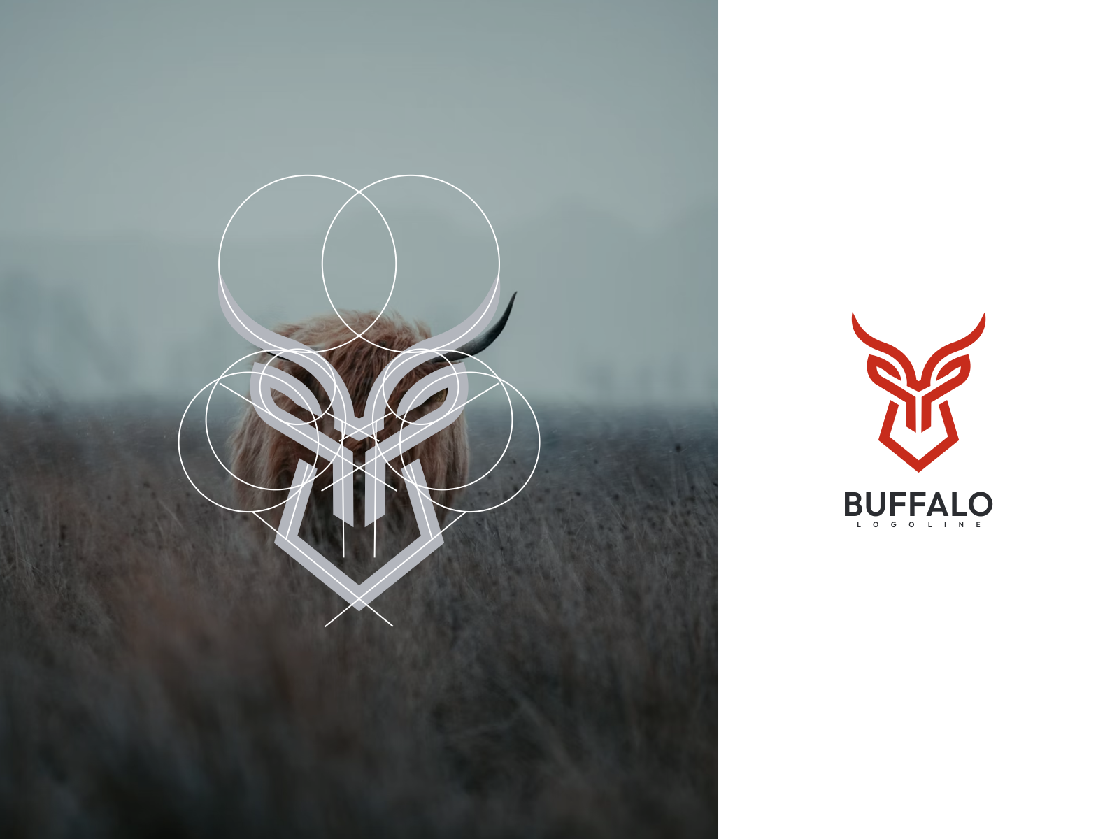 Buffalo Logo Line by MAXSTRIM_GRAPICH on Dribbble