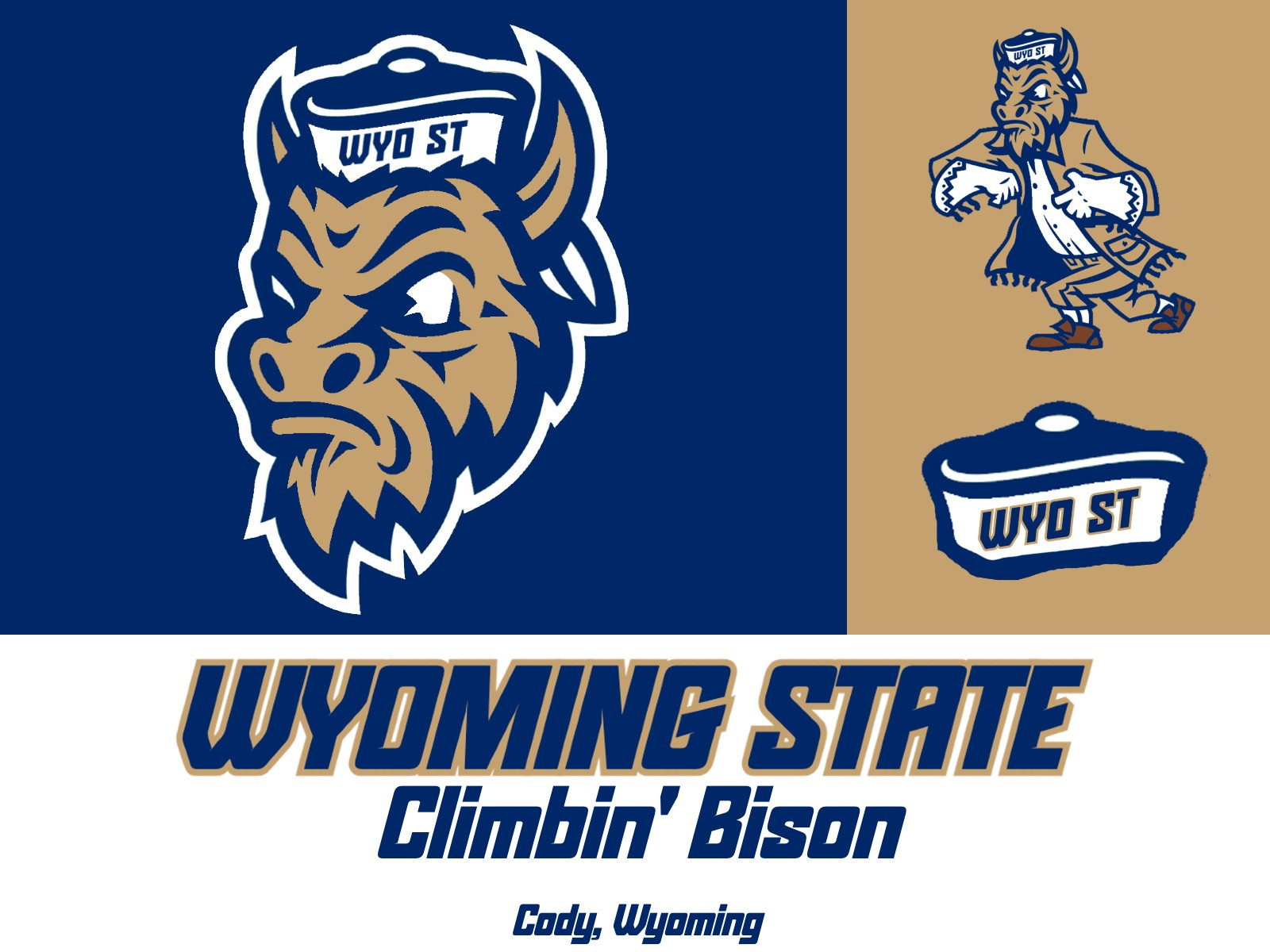 Wyoming State Branding by Drew Larson on Dribbble
