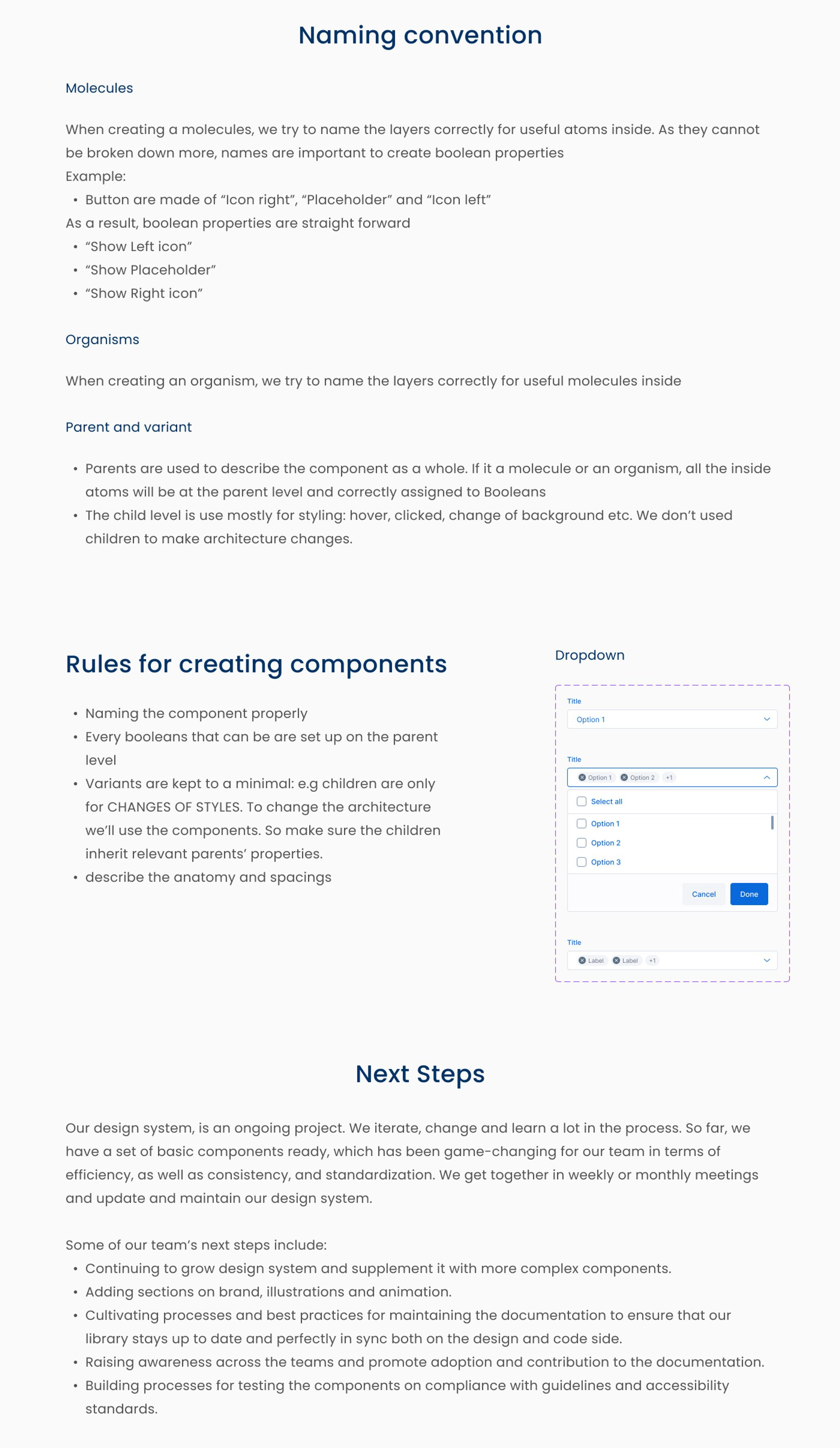 Building a Design System by Sahar Hamidi on Dribbble