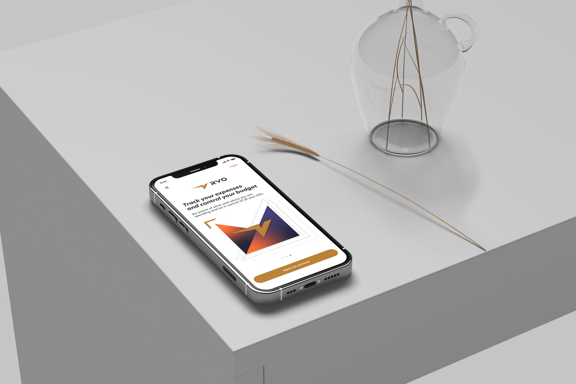 Visual ID by Sarah Schaper for Nymbus on Dribbble