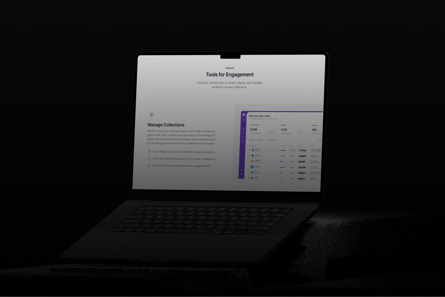 Fanwise | Finance Website Design by RSA Creative Studio on Dribbble
