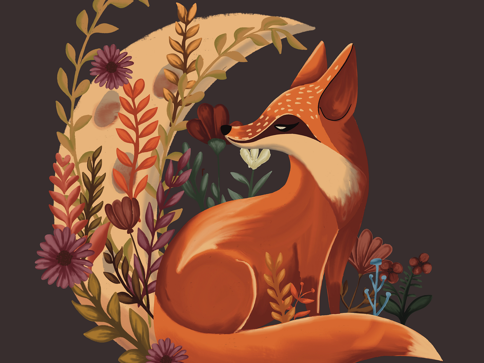 Ilustration fox by Klaudia on Dribbble