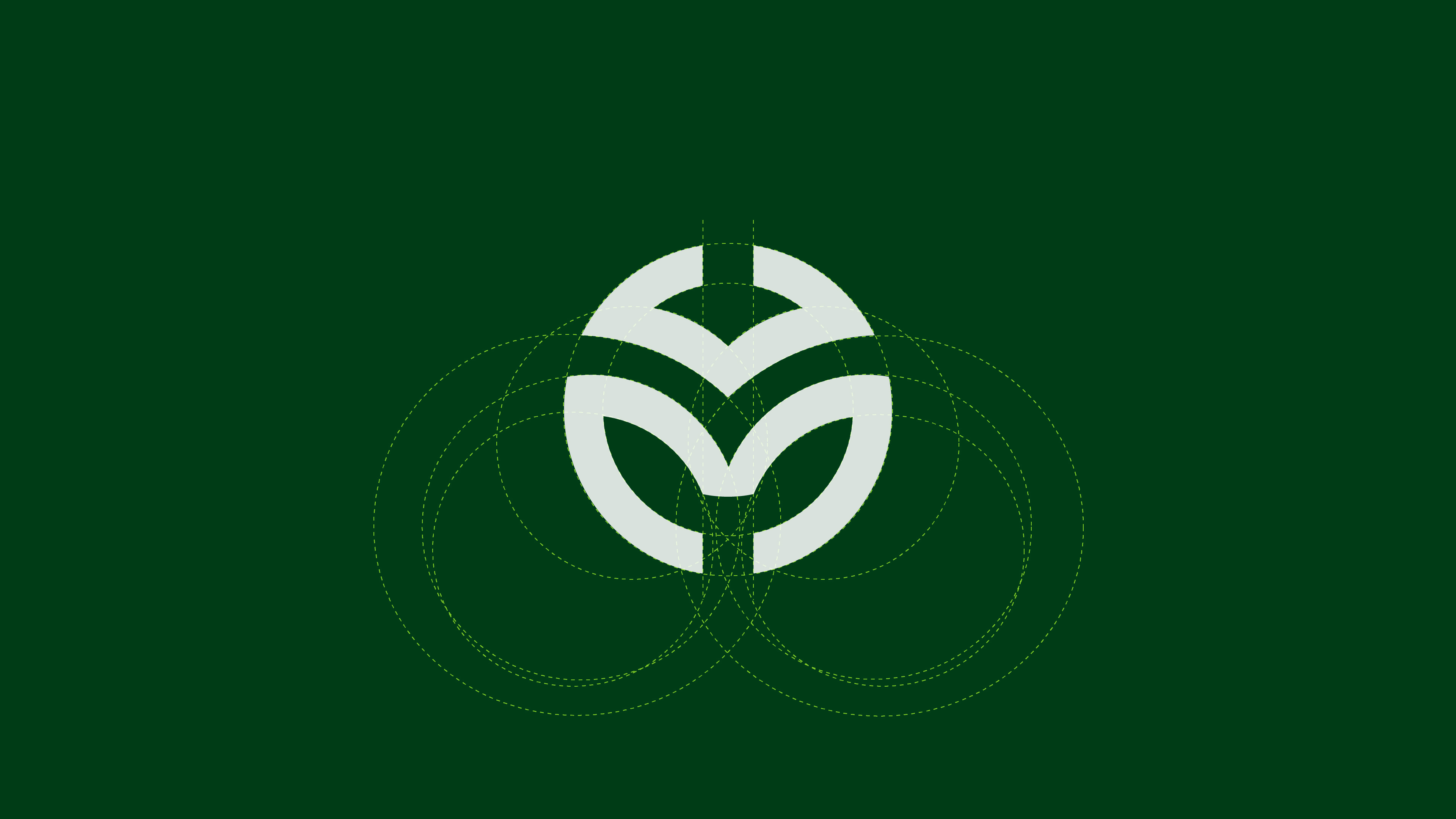 Mavelo® - Logo Design I Organic Food Branding by Habibur Rahman | UI/UX ...