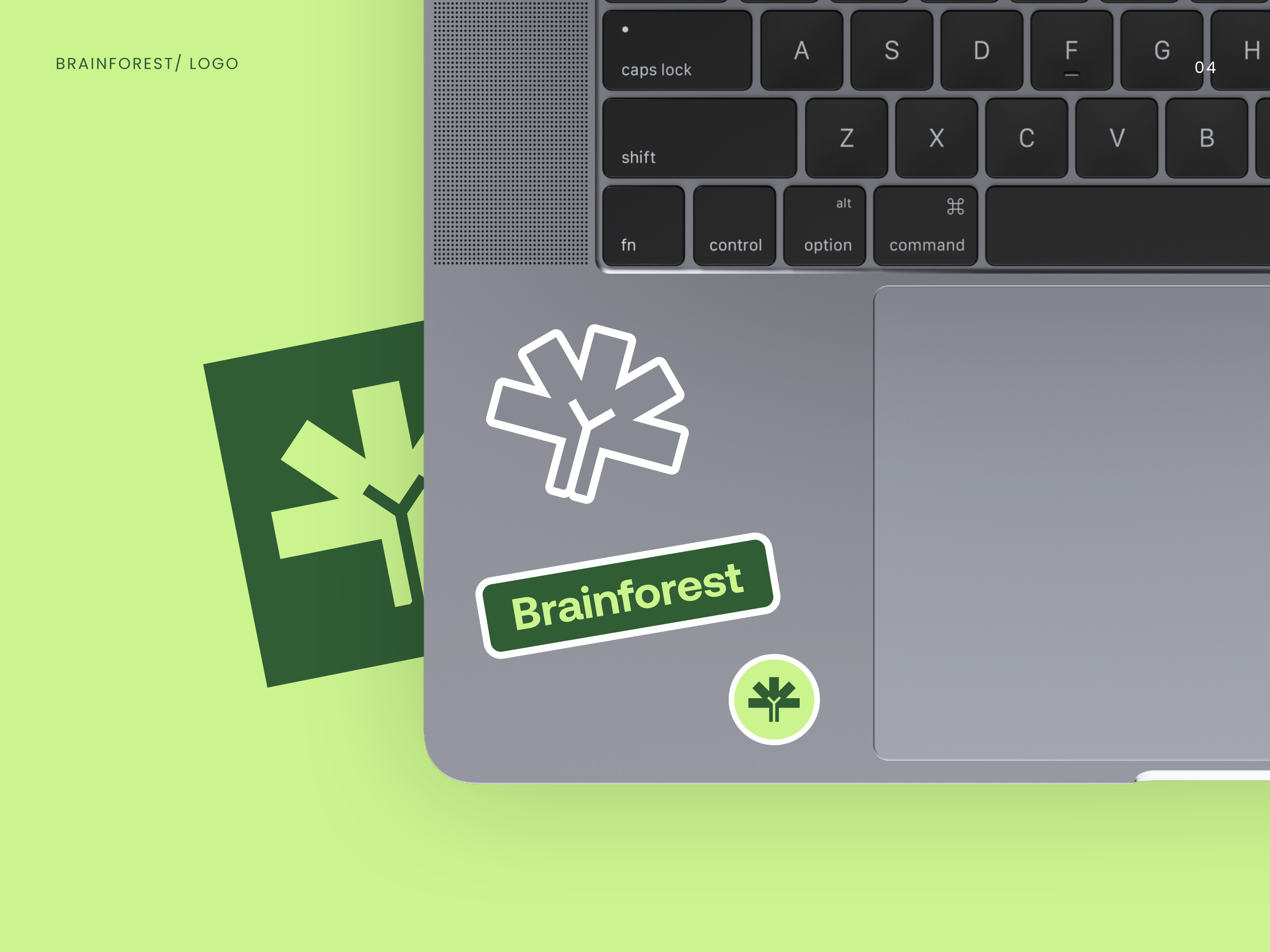 Brainforest - Logo & brand identity for the educational platform by Outcrowd on Dribbble