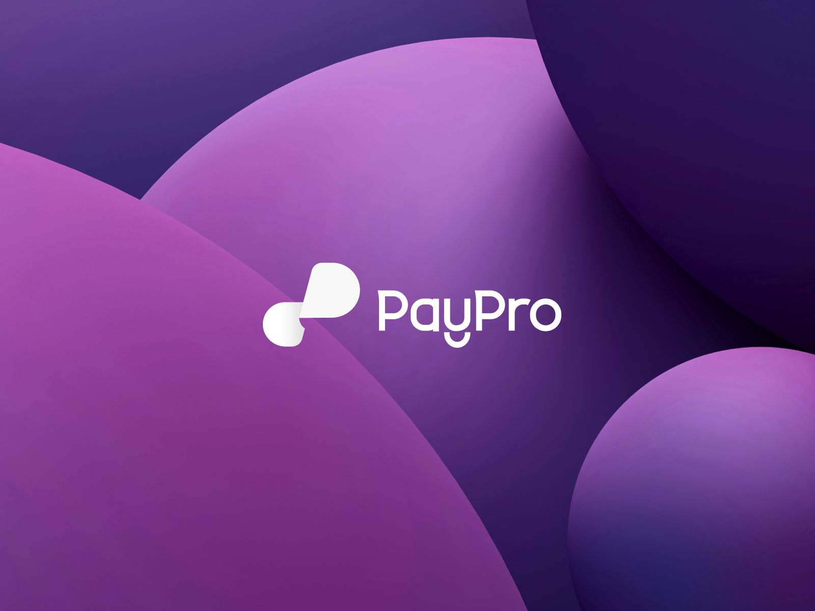 Paypro - Logo & Brandguideline by Vektora Branding for Vektora on Dribbble