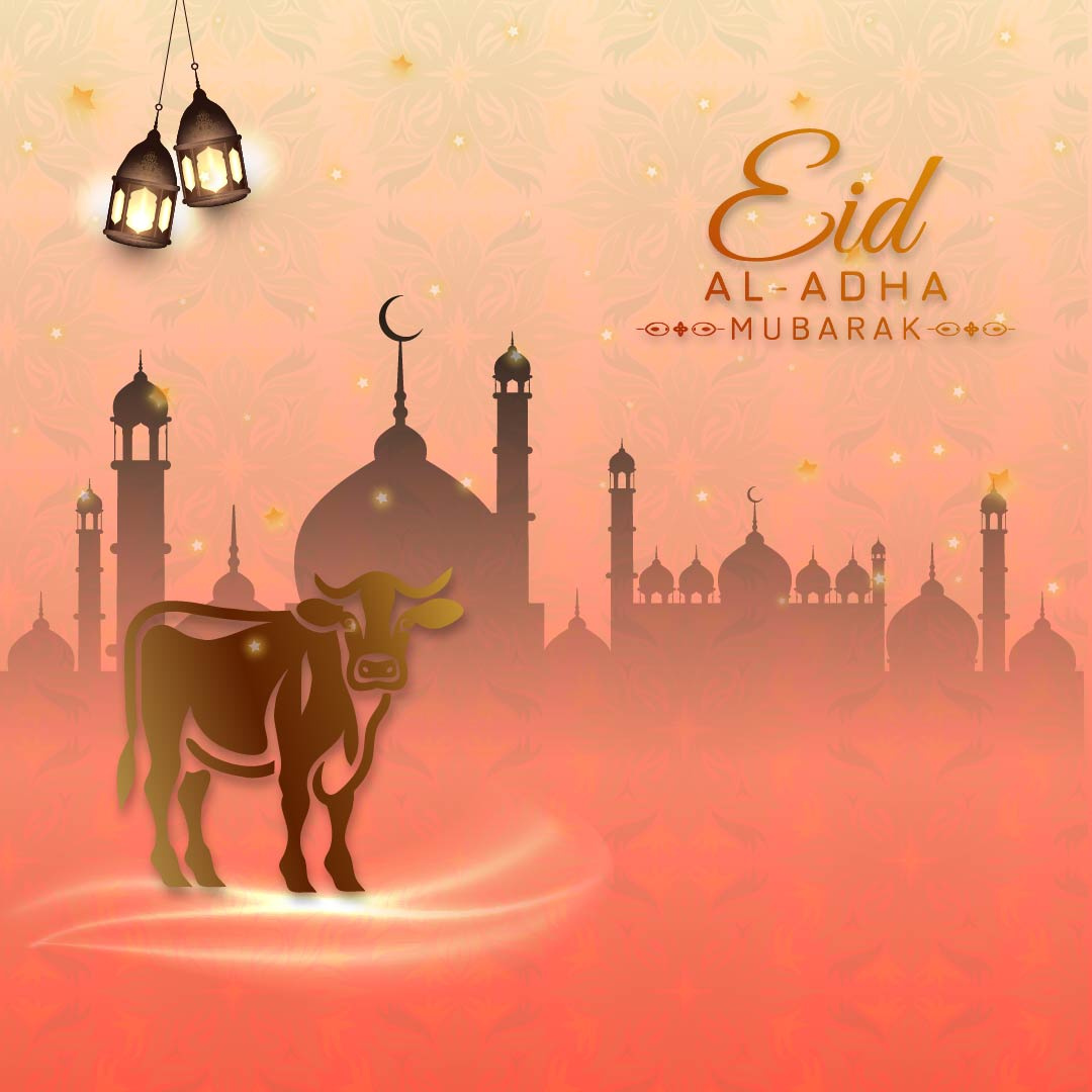 Benner Design designs, themes, templates and downloadable graphic ...