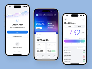 Credit Score Mobile App by Ronas IT | UI/UX Team on Dribbble