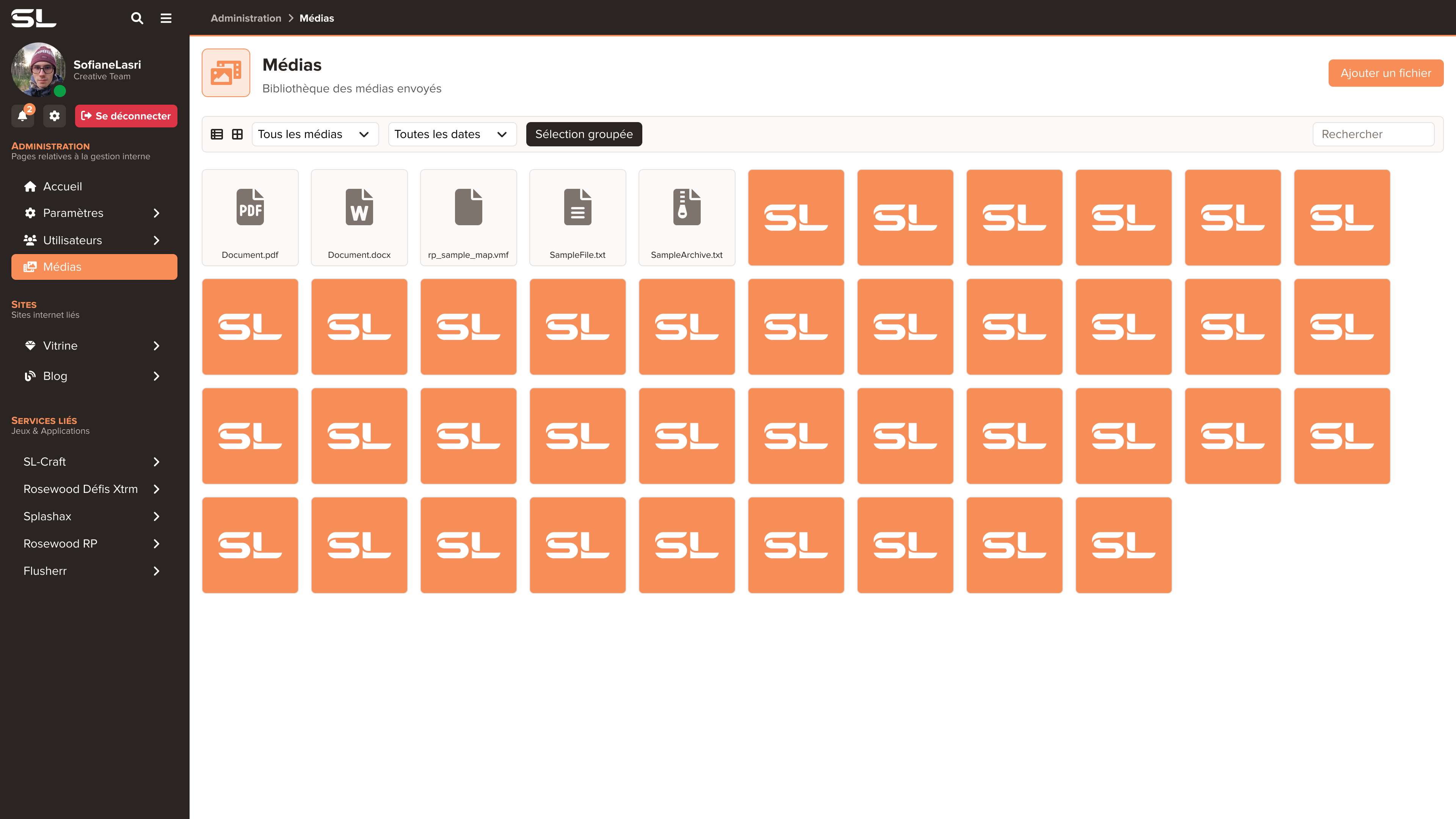 SL-Projects Dashboard by Sofiane Lasri on Dribbble