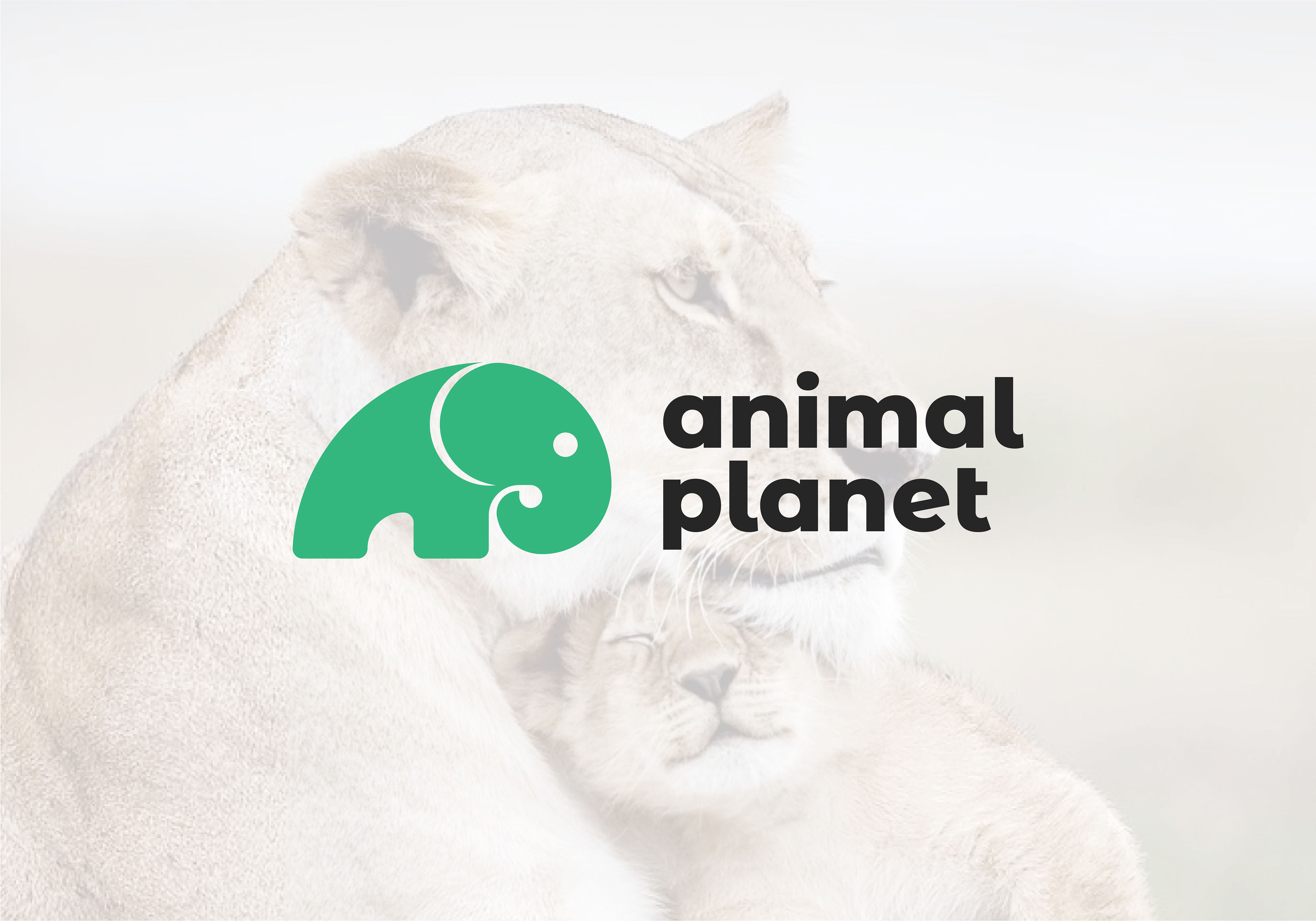 Animal Planet Logo Redesign | Rebranding by Mohamed Salman Parsy on ...