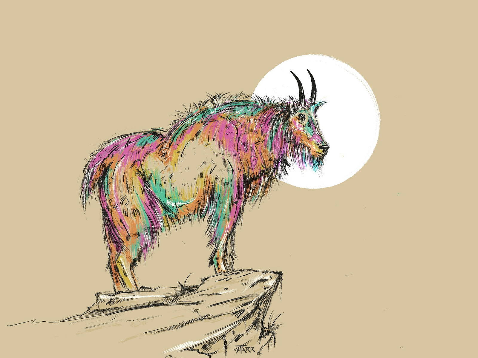 goat. by Aric Tarr on Dribbble