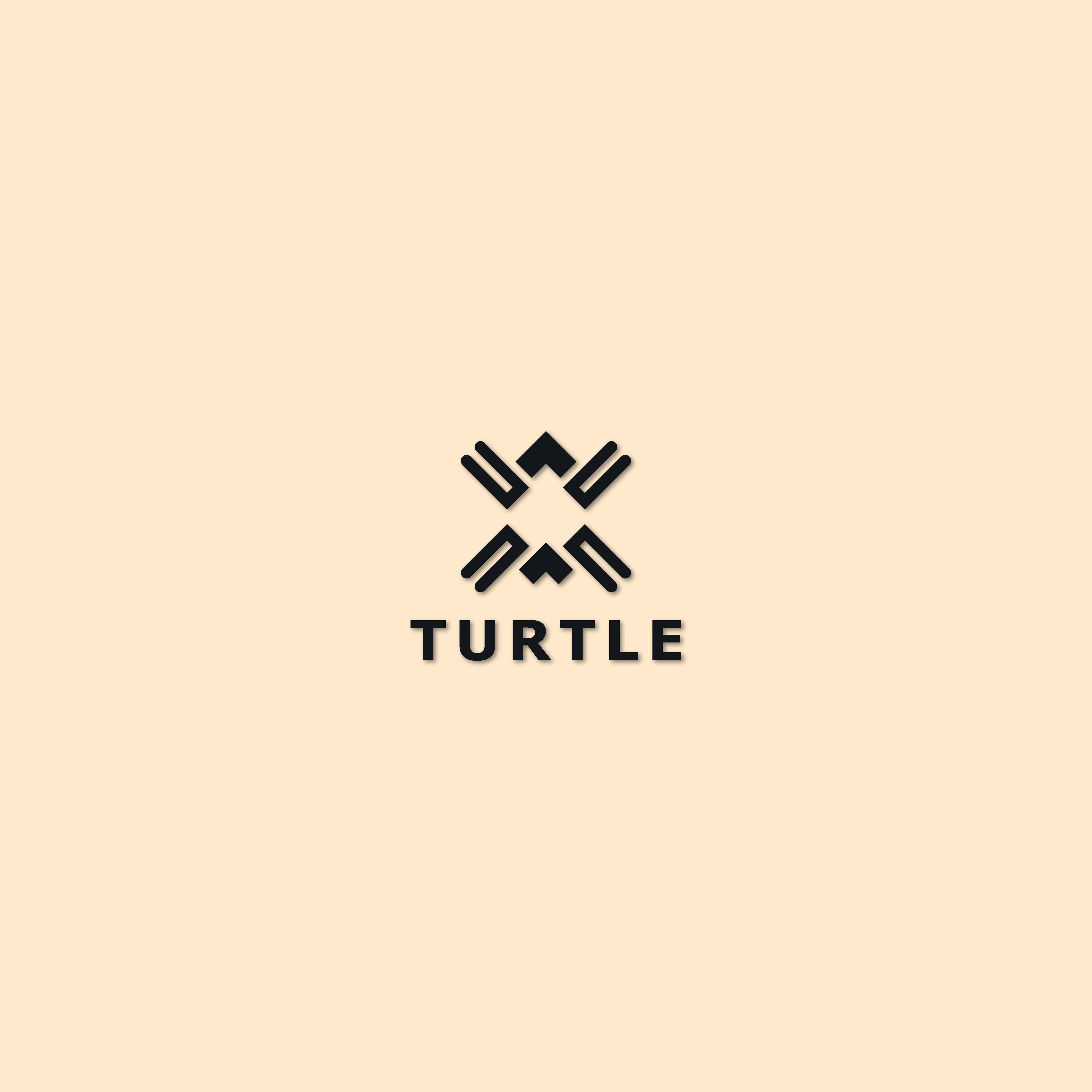 Minimal Turtle Logo designs, themes, templates and downloadable graphic ...