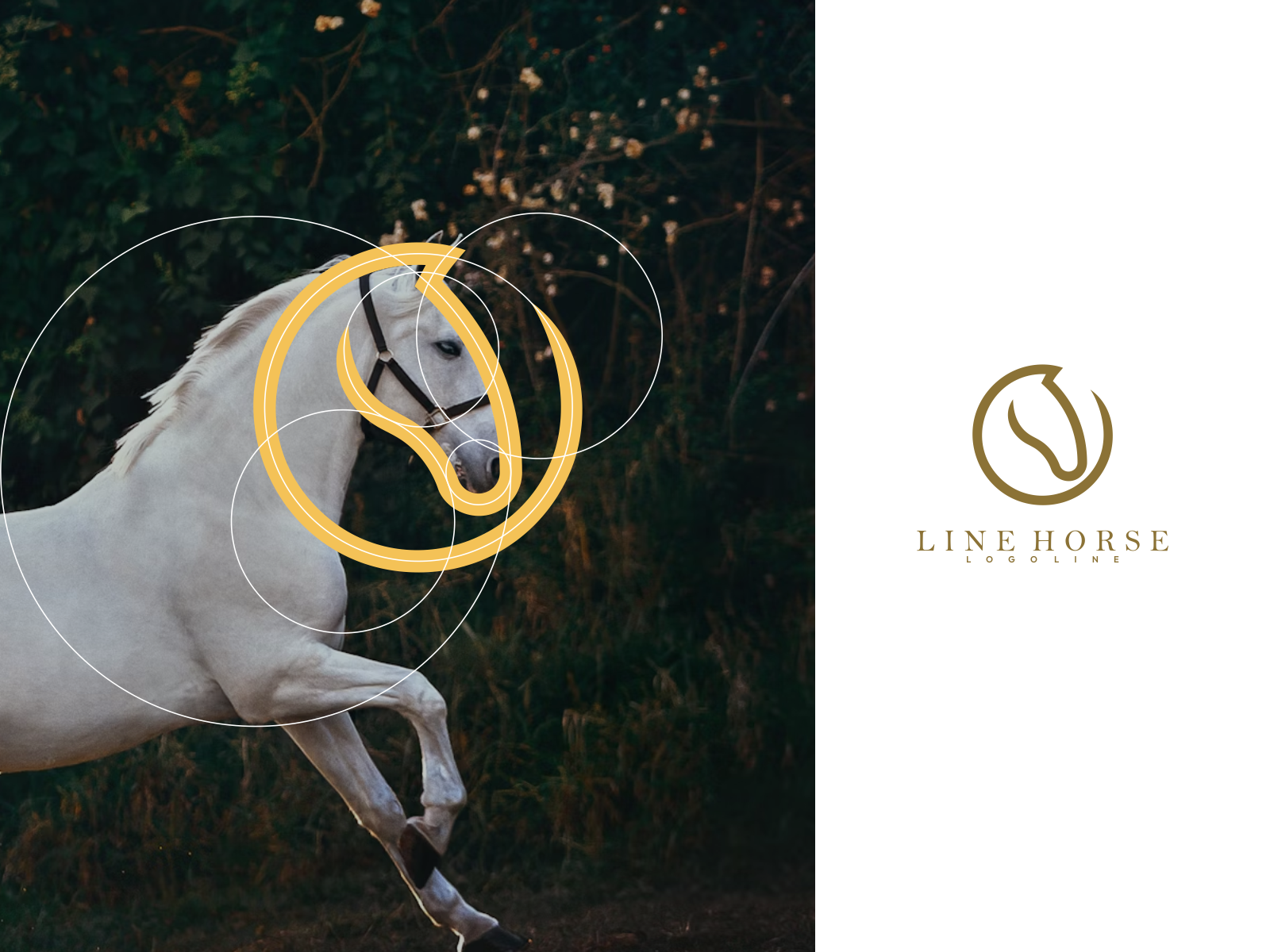 Line Horse Logo by MAXSTRIM_GRAPICH on Dribbble