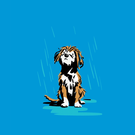 Browse thousands of Dog Animation images for design inspiration | Dribbble