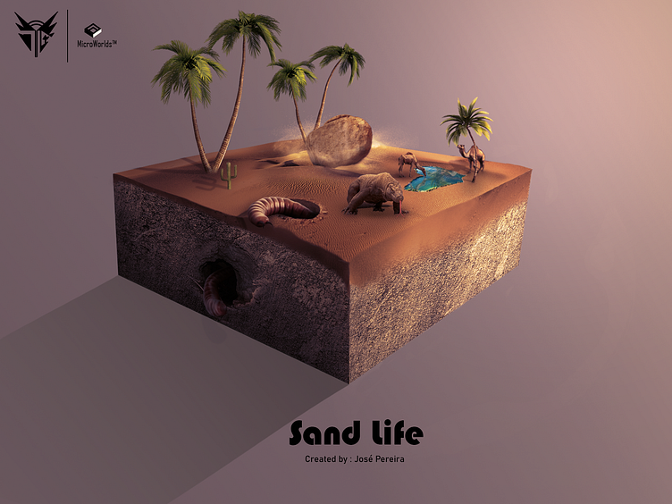 Sand Life MicroWorld by José on Dribbble