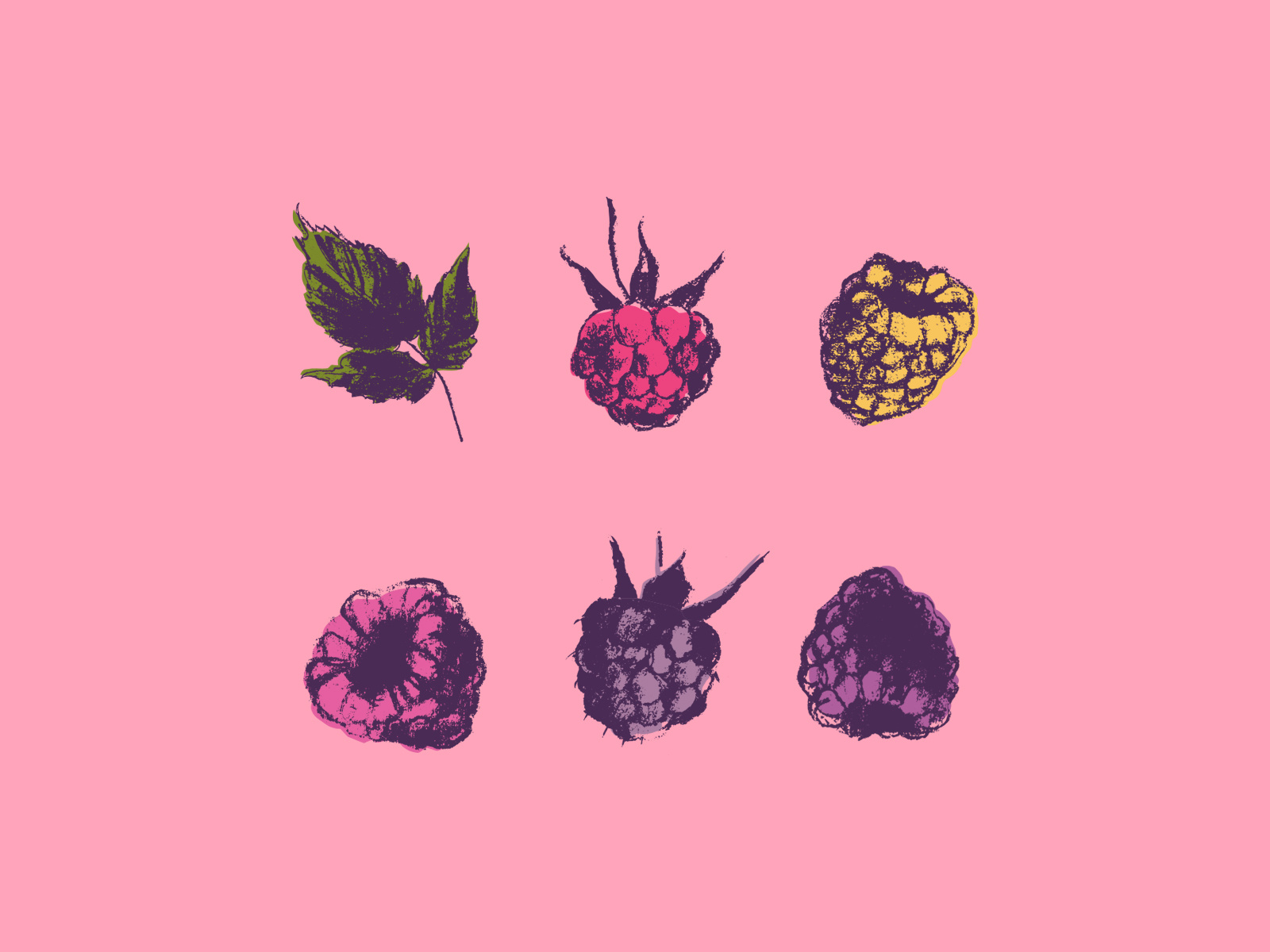 Hand-drawn Blackberry & Raspberry signs by Oleg Agafonov on Dribbble