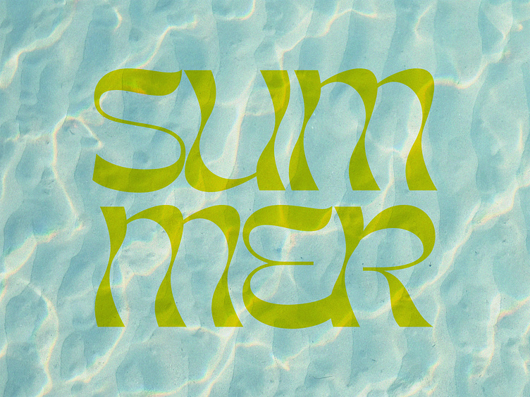 Summer 2024 Illustration by PeaceMaker Studio. on Dribbble
