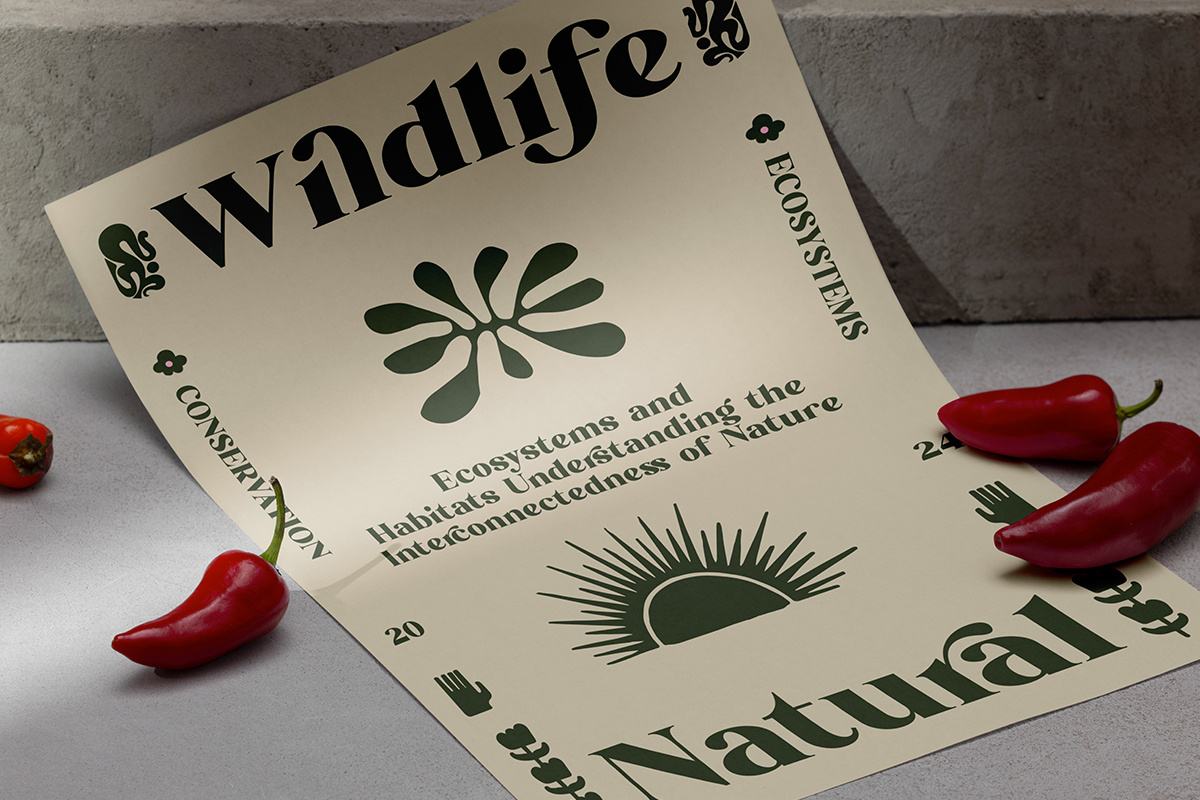 Grained Display Serif Font by ETERNITY STD on Dribbble