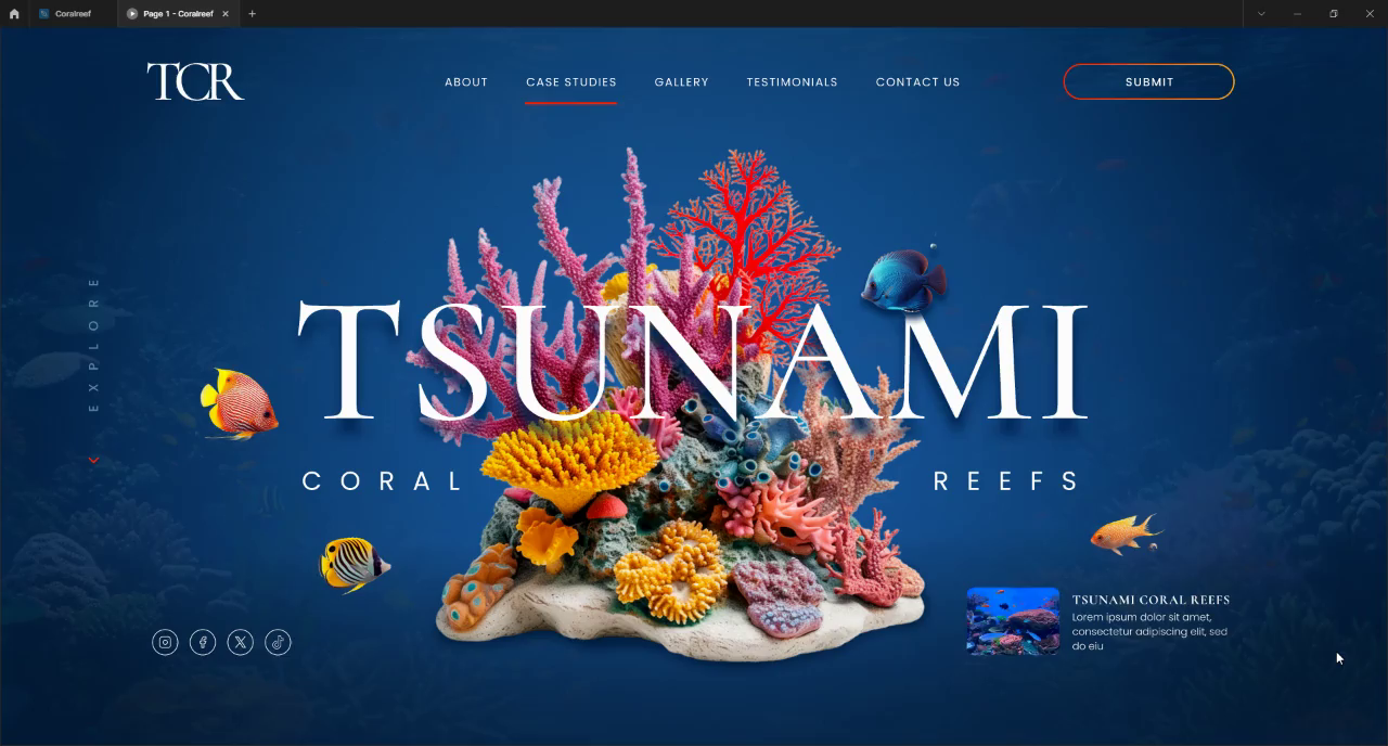 Tsunami Website Design and Development by Anderson Collaborative on ...