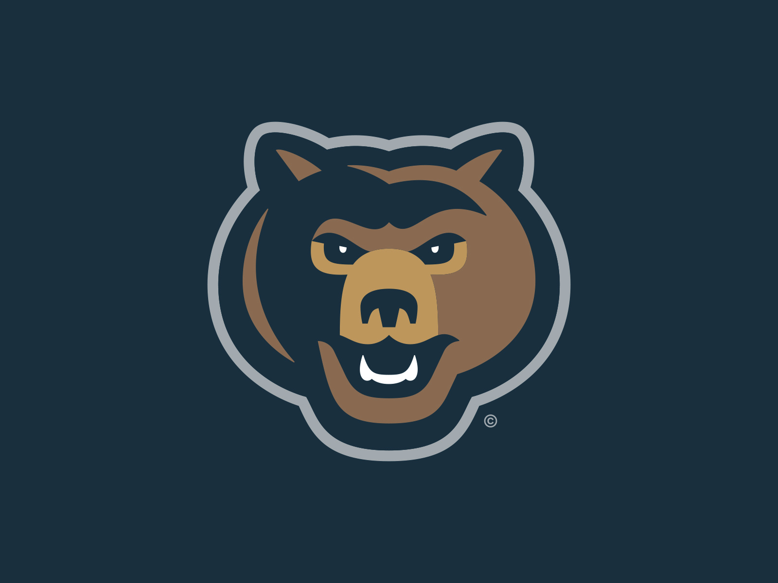 22/32 – Montana Silvertips by Zilligen Design Studio on Dribbble