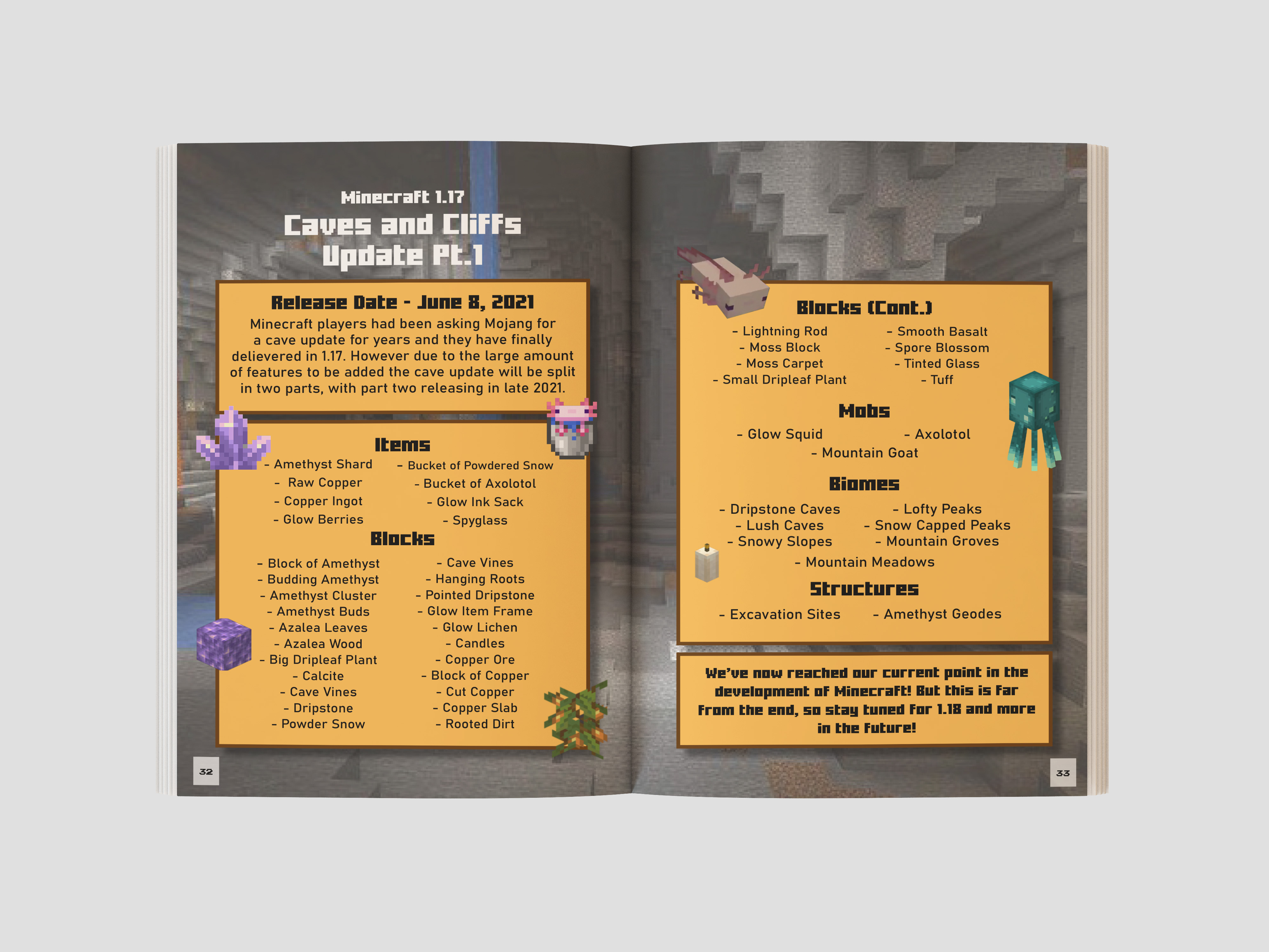 The Evolution of Minecraft: Infographic Book by Ocean Fernandez on Dribbble