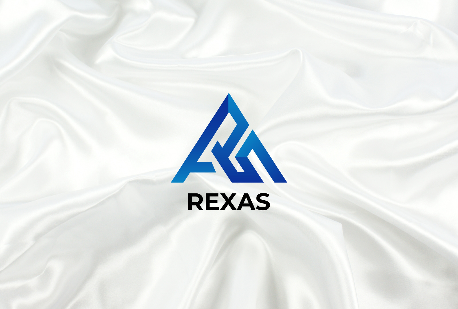 Logo Custom & Brand Identity for custom - REXAS by Frispro on Dribbble
