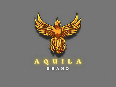 Logo Design! by Hunain Hadi on Dribbble