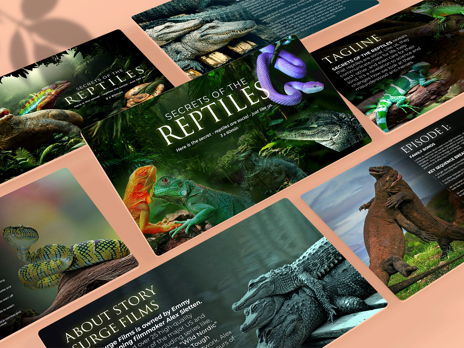 Reptiles - Film Presentation Design by Fenall Lotiya on Dribbble