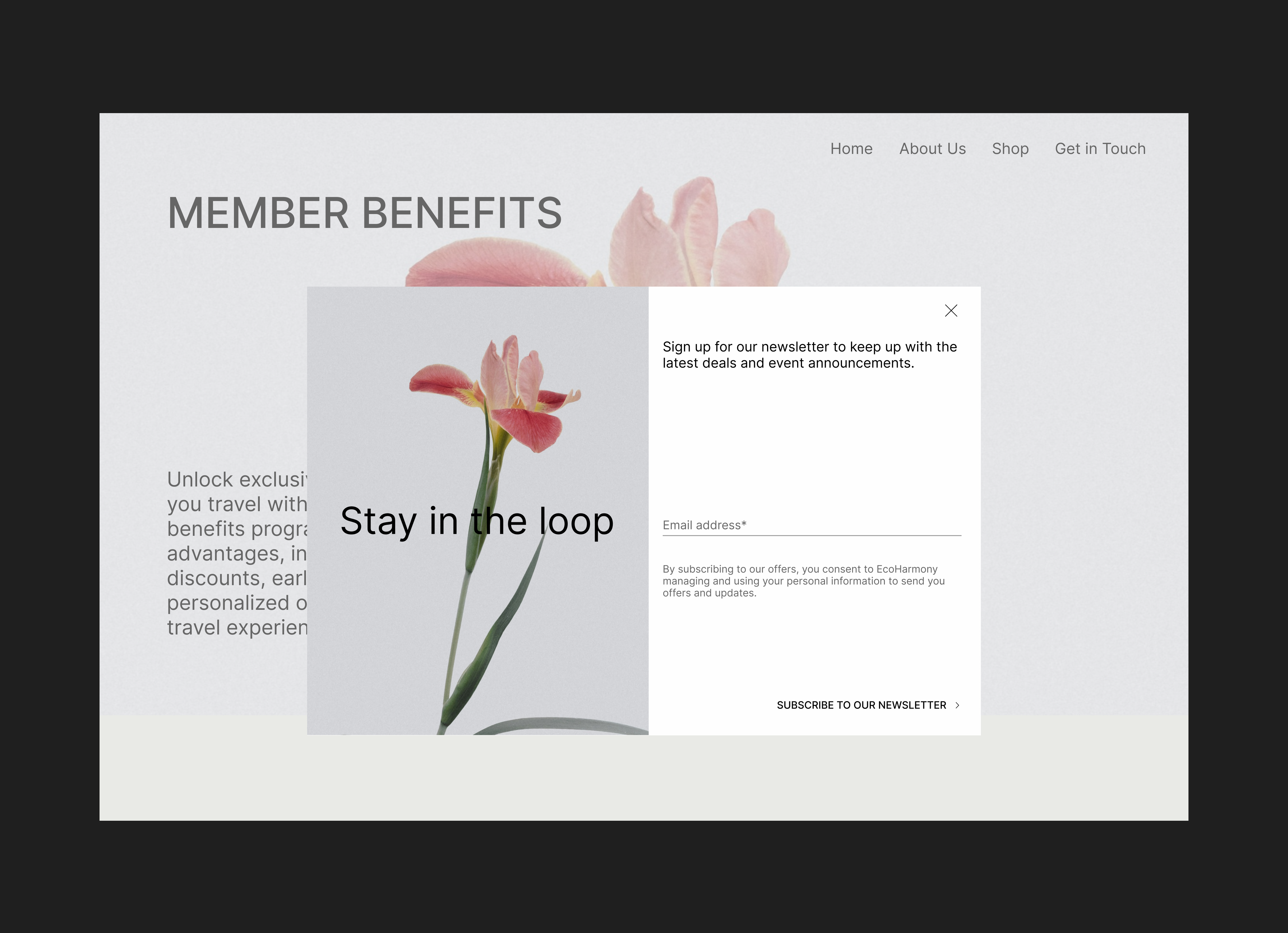 Popupdesign designs, themes, templates and downloadable graphic ...