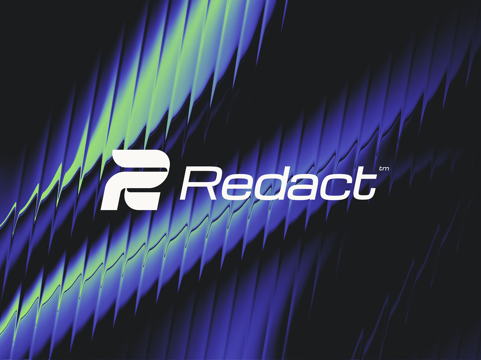 Redact™ | VPN Brand Identity by Kaika on Dribbble